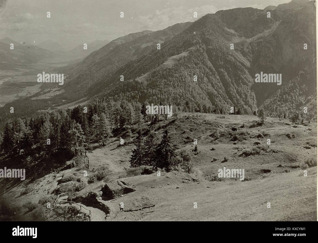 A World War I photograph showing four artillery guns with a view of ...