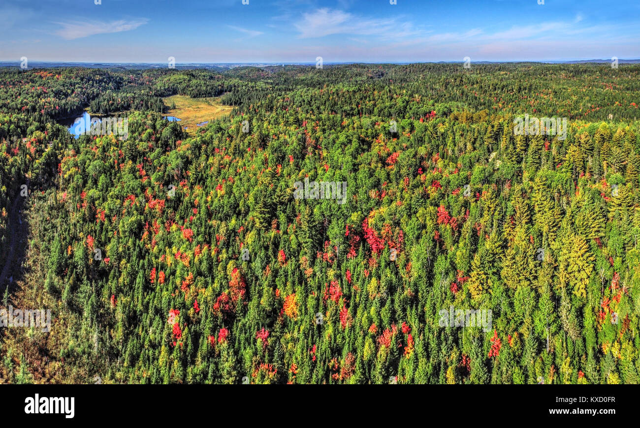 Colorful fall forest hi-res stock photography and images - Alamy