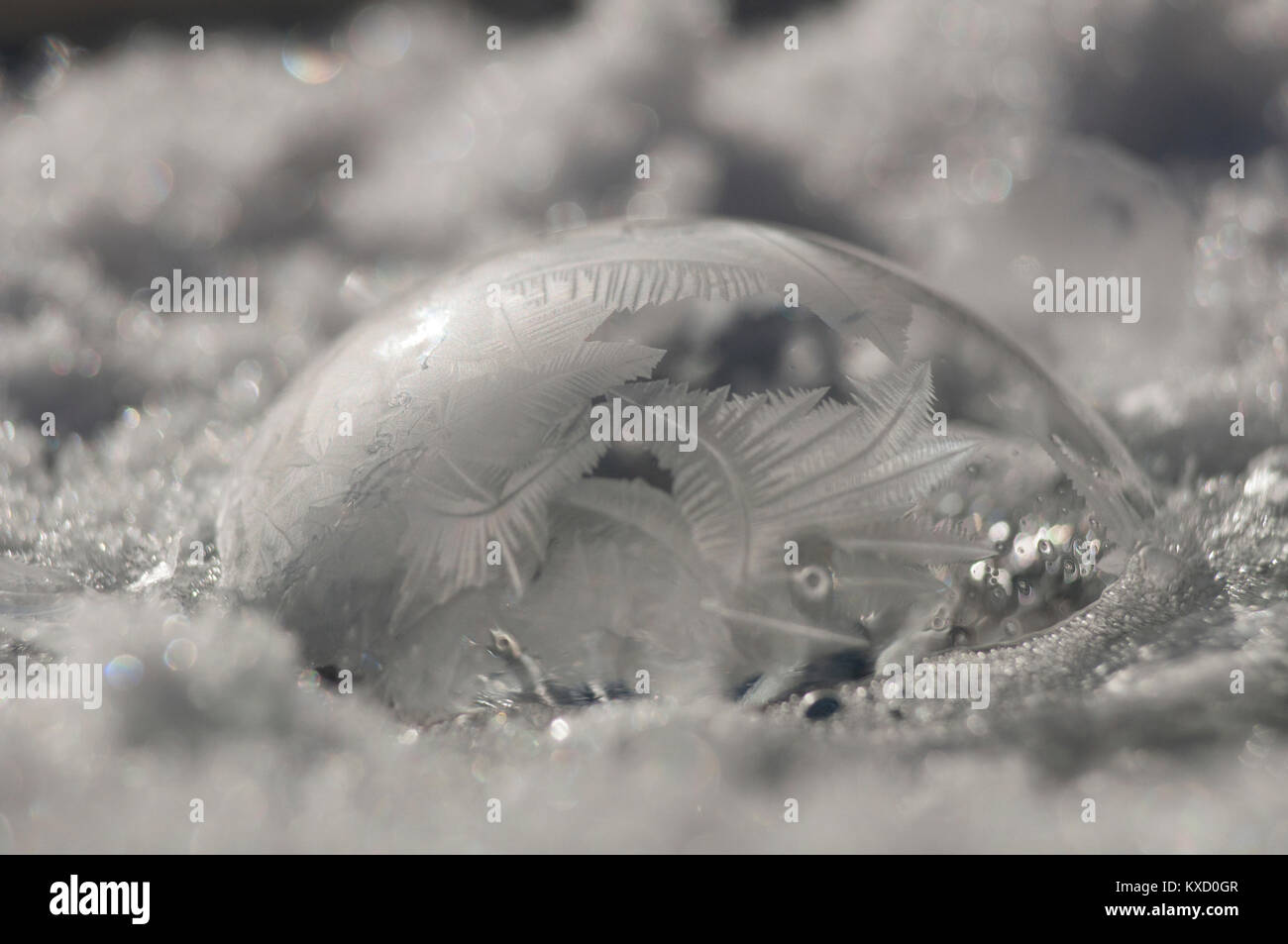 Close-up of frozen bubble in water Stock Photo - Alamy
