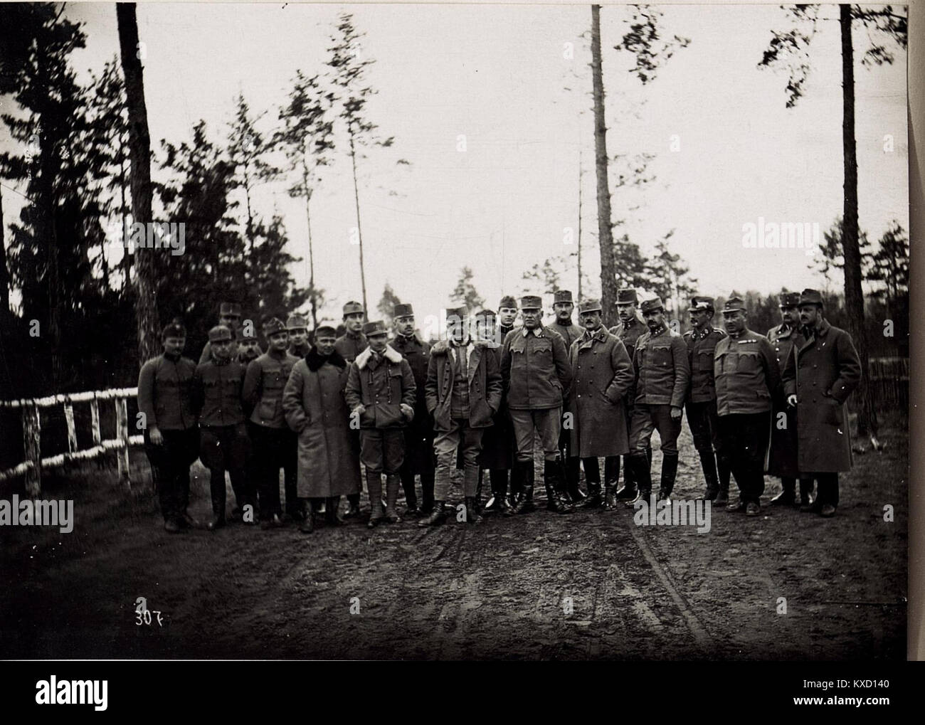 A World War I photograph showing the command staff of the 45th Rifle ...