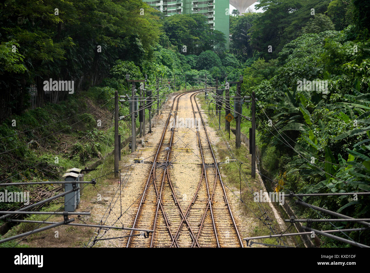 Double train line tracks with a junction lead off to a bend through ...