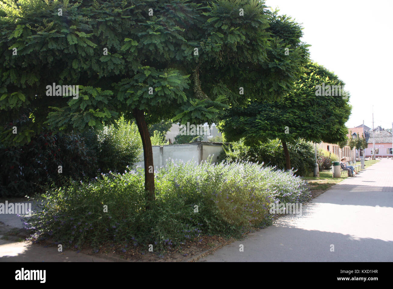 A digital document titled '5th Part', likely representing the fifth ...