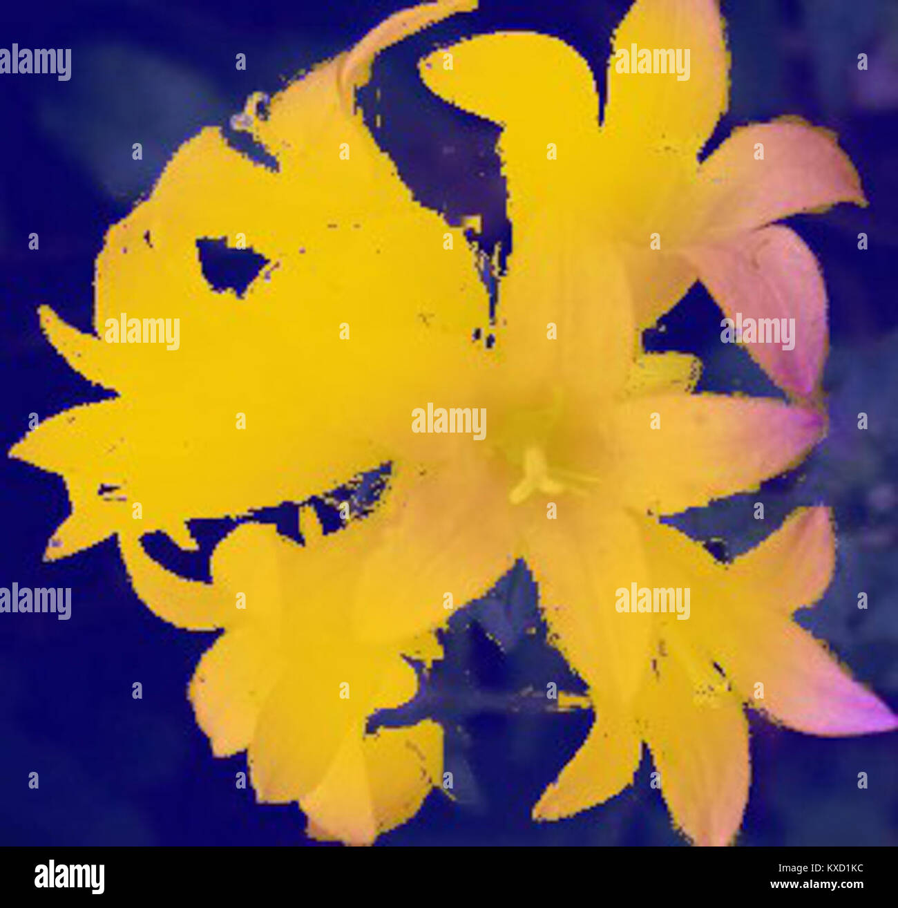 This title appears to be a code or reference related to an HTML file or document. It lacks ...