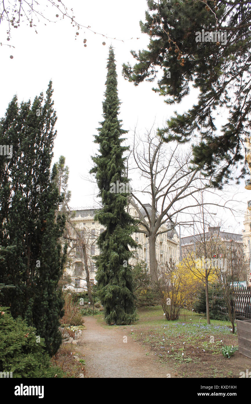 Digital page layout hi-res stock photography and images - Alamy