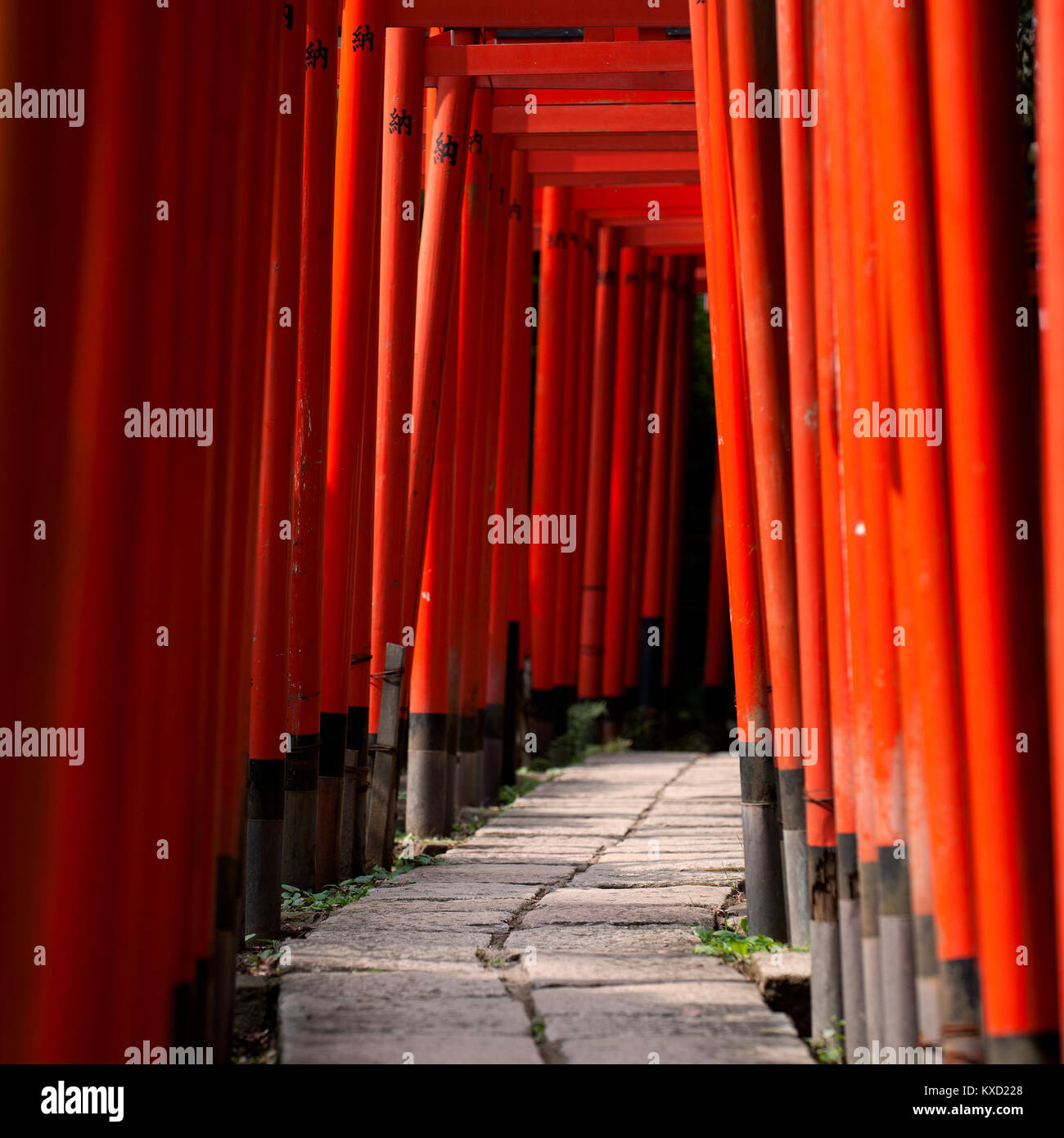 Side Torii High Resolution Stock Photography and Images - Alamy