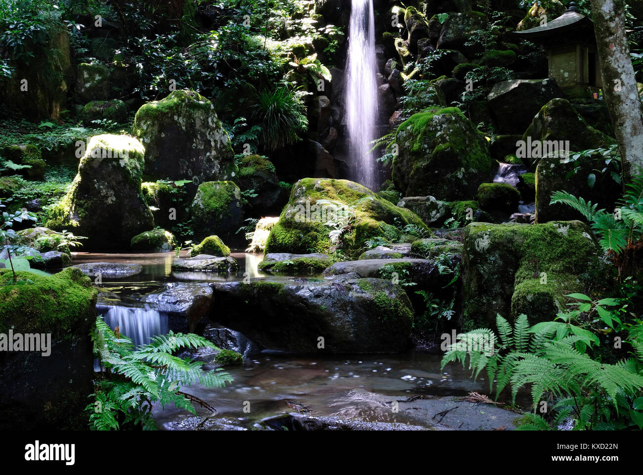 Scenic view of waterfall in forest Stock Photo - Alamy