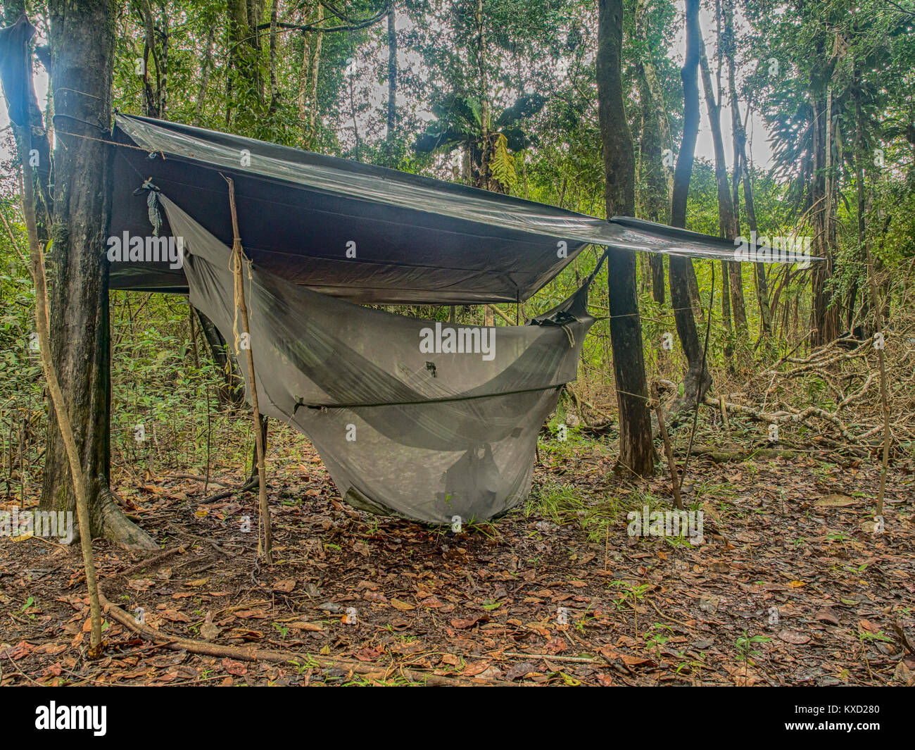 Soco Lagoon, Brazil - Dec 6, 2017: Camp in the amazons jungle Stock Photo - Alamy