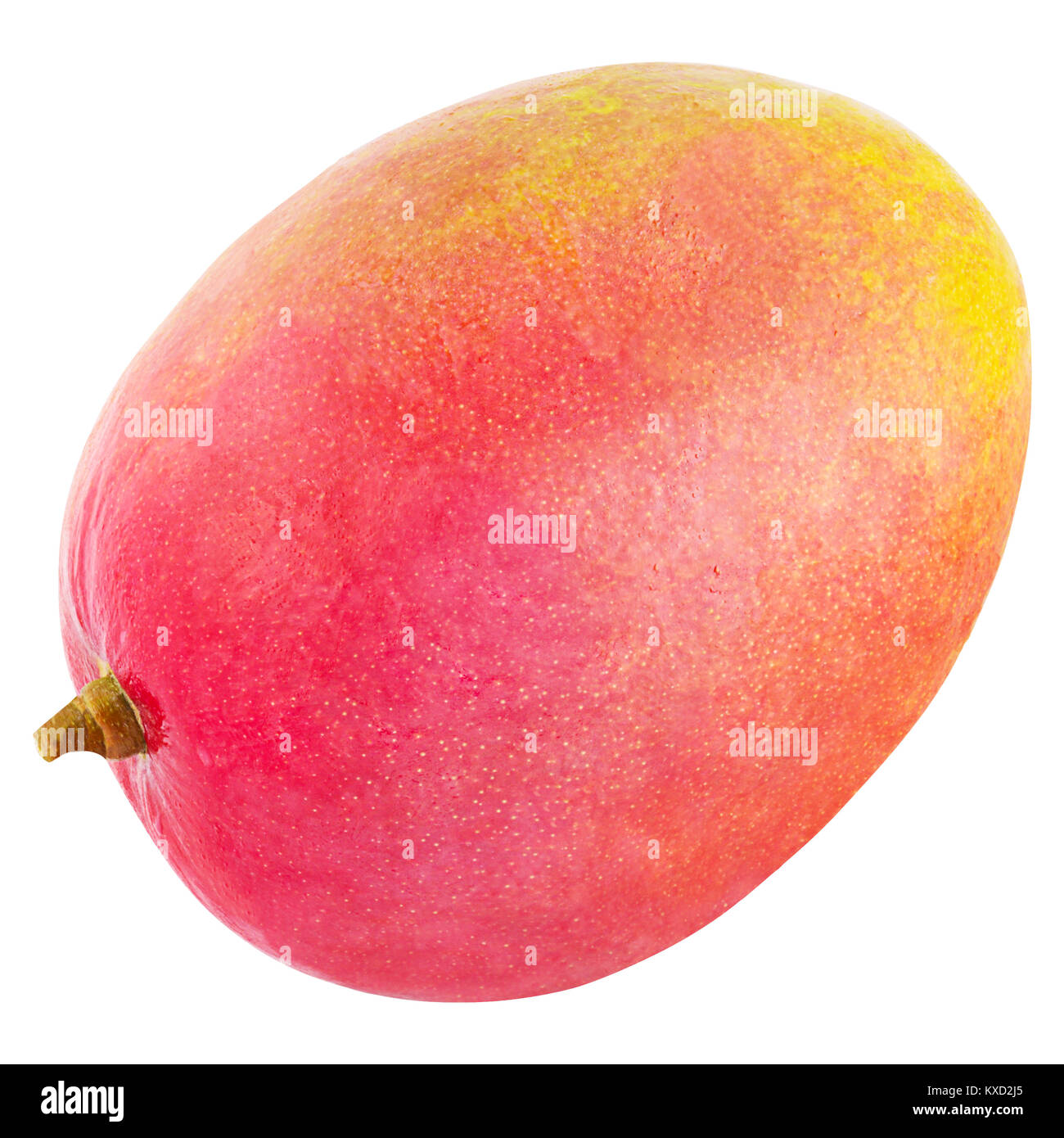 Isolated fruits. Fresh mango fruit isolated on white background with ...