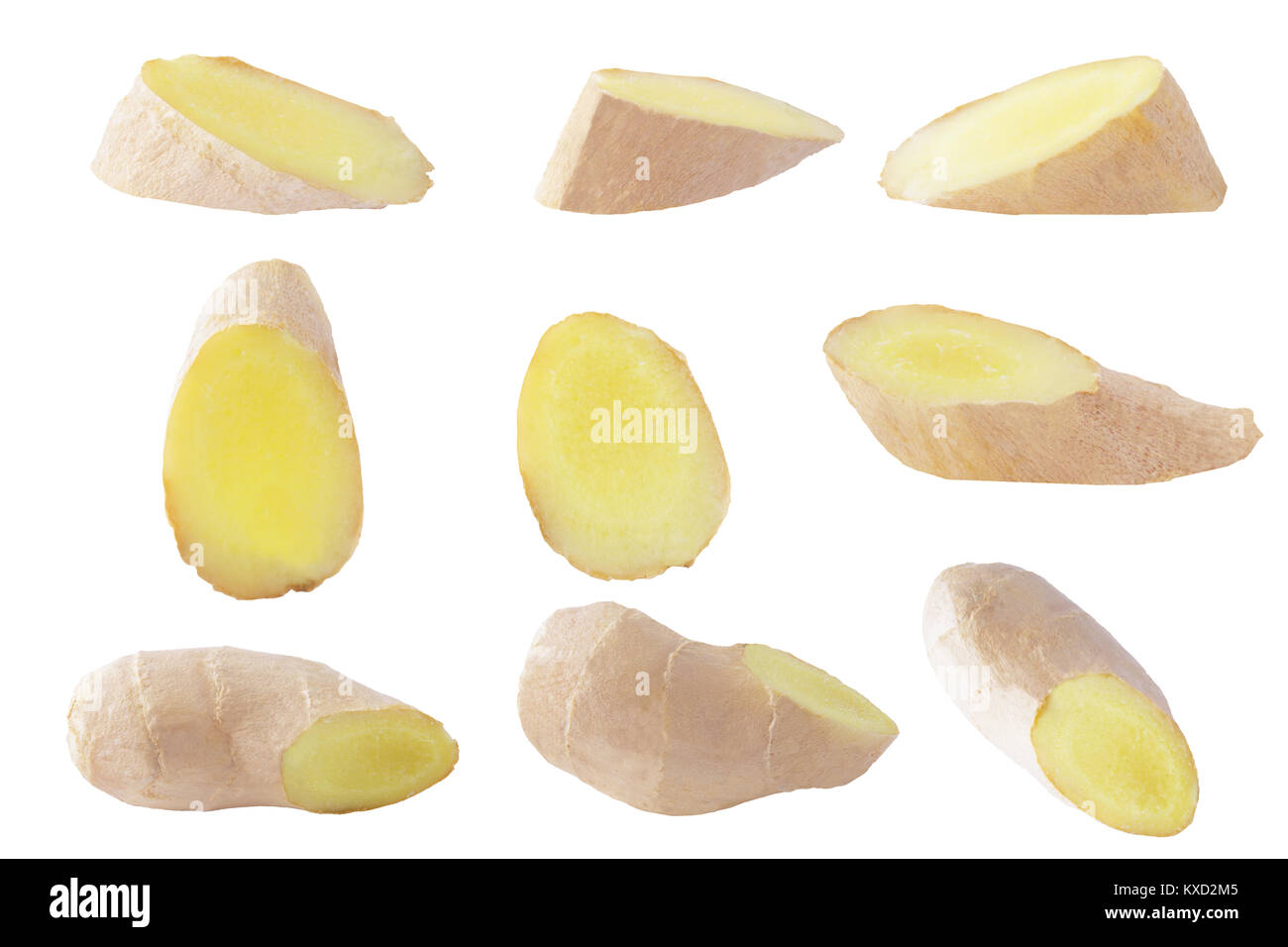 Isolated Ginger root. Collection of ginger root isolated on white ...