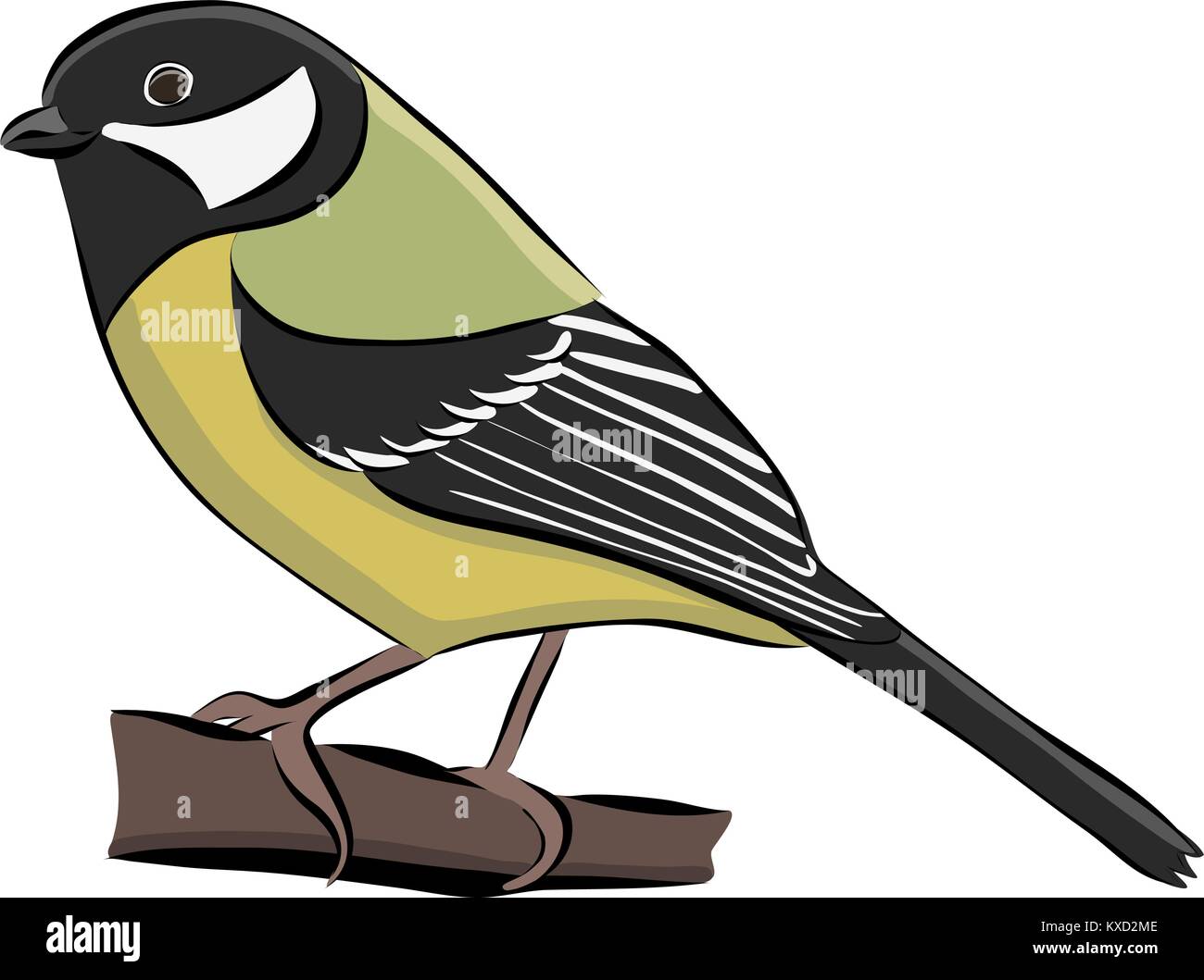 Hand drawn bird great tit, vector Stock Vector Image & Art - Alamy
