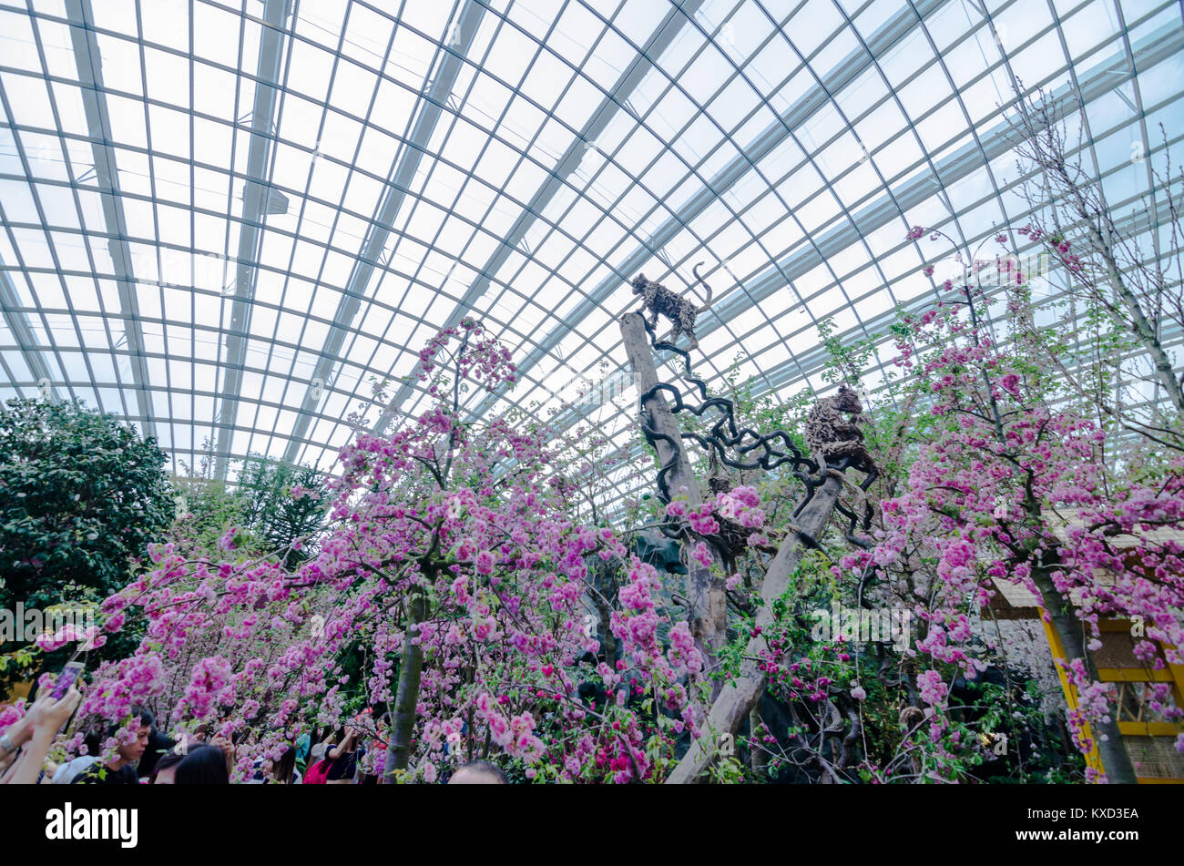 Tropical dome hi-res stock photography and images - Alamy
