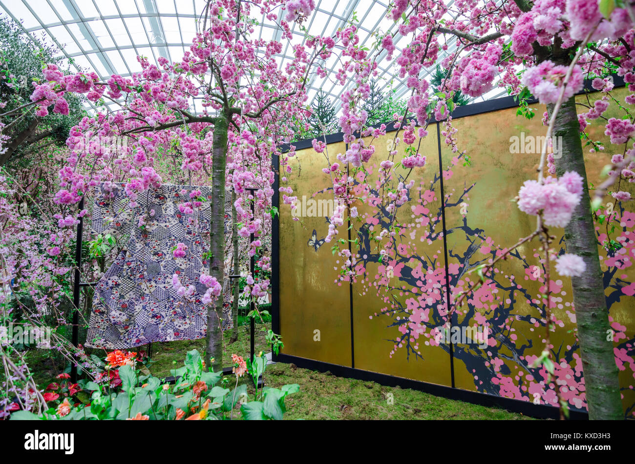 Flower Dome of Garden by the Bay shrouded by the delicate pink petals ...