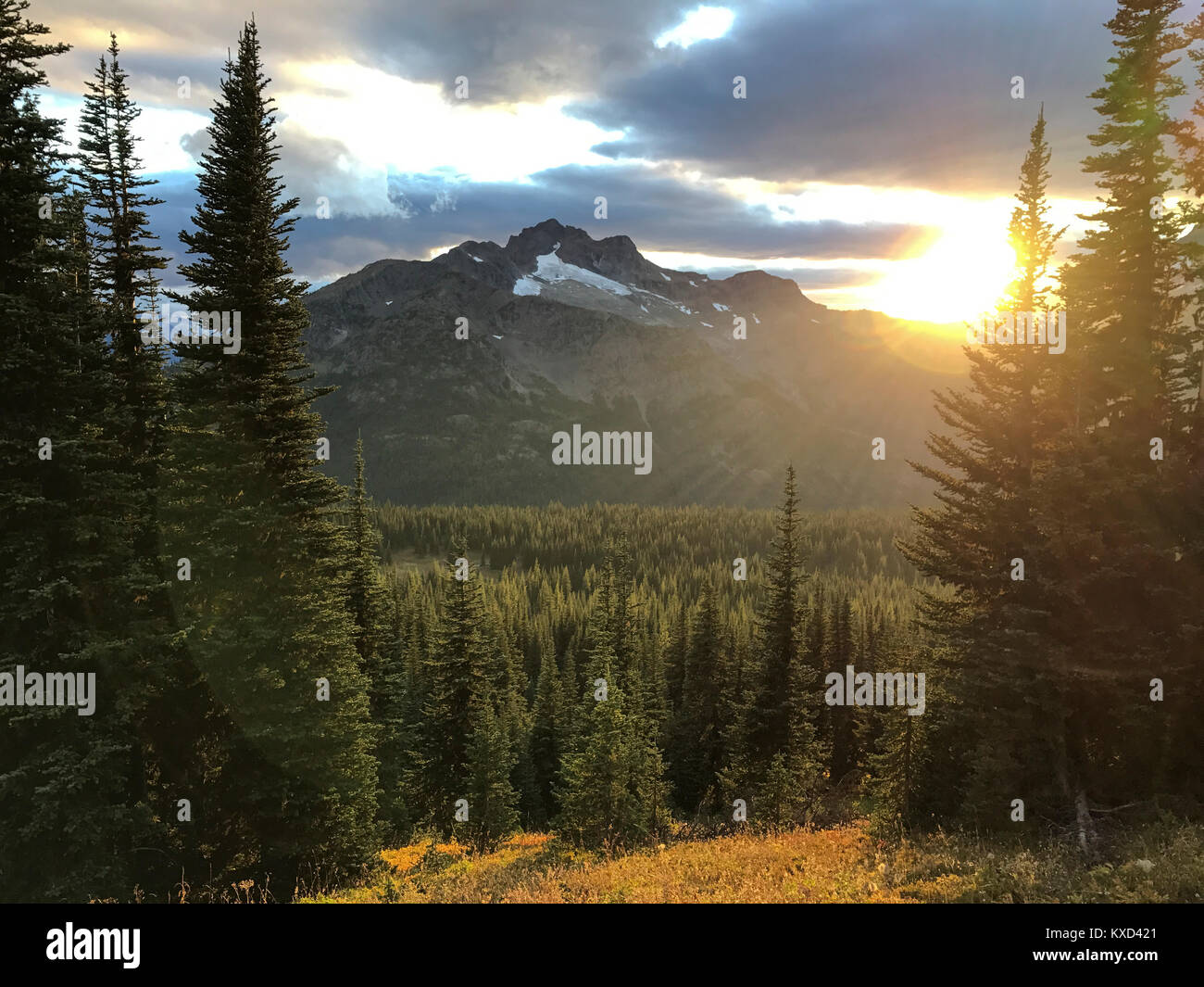 Idyllic view of trees by mountains and cloudy sky Stock Photo - Alamy