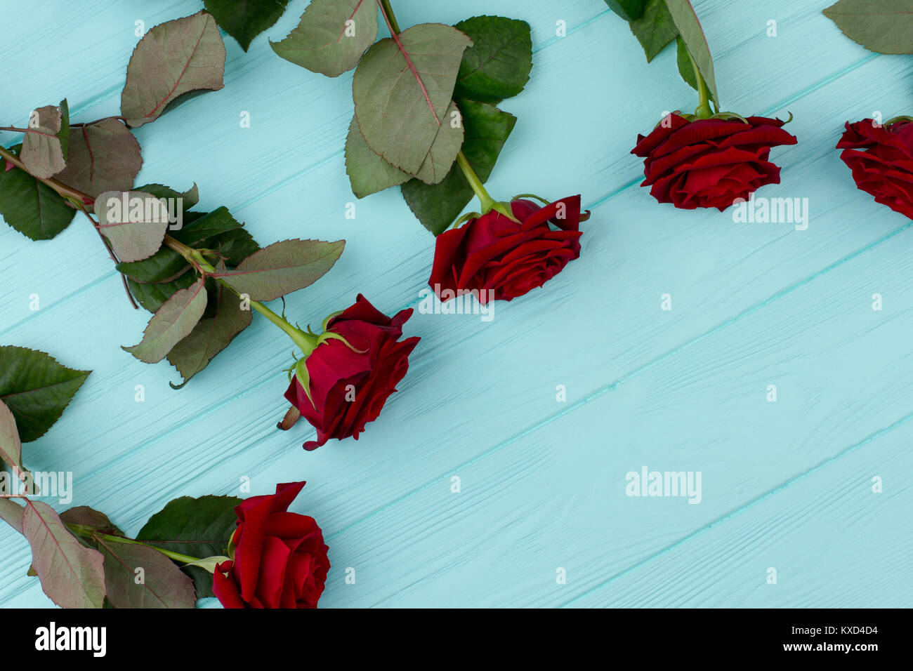 Valentines day background with red roses Stock Photo - Alamy
