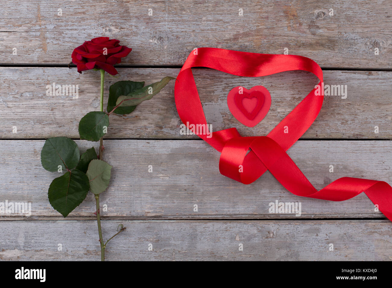 Beautiful red rose for Valentines Day Stock Photo - Alamy