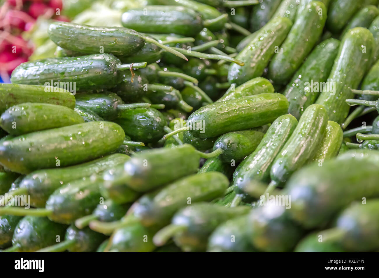 Cucumbers for sale at the market stall hi-res stock photography and ...