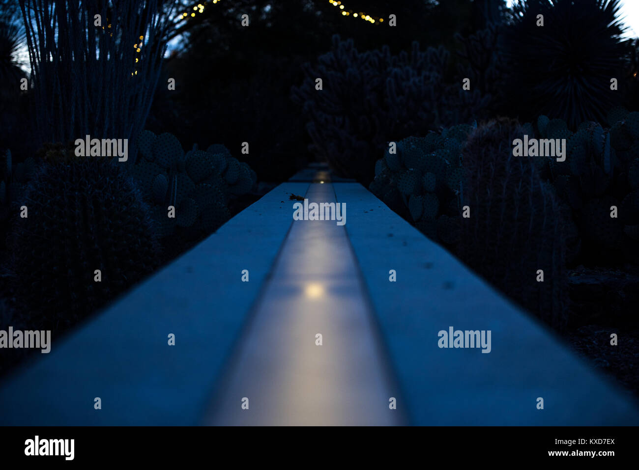 Life pathway hi-res stock photography and images - Alamy