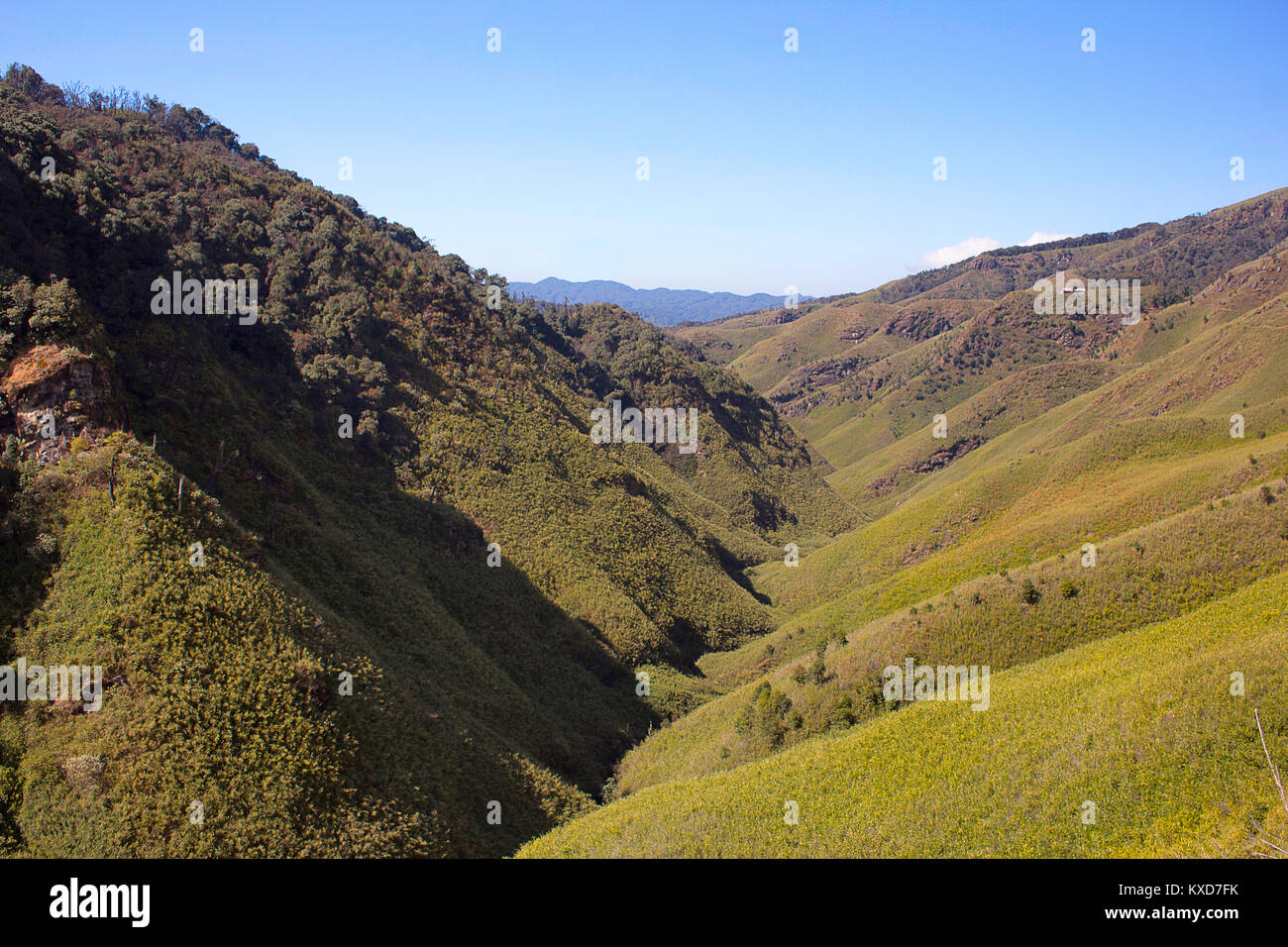 Dzukou valley, Located at the border of the states of Nagaland and ...