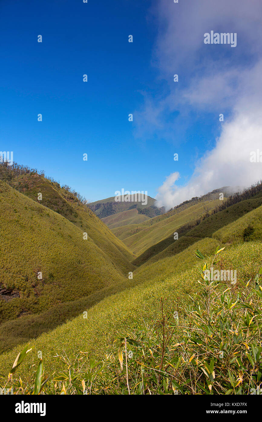 Dzukou valley, Located at the border of the states of Nagaland and ...