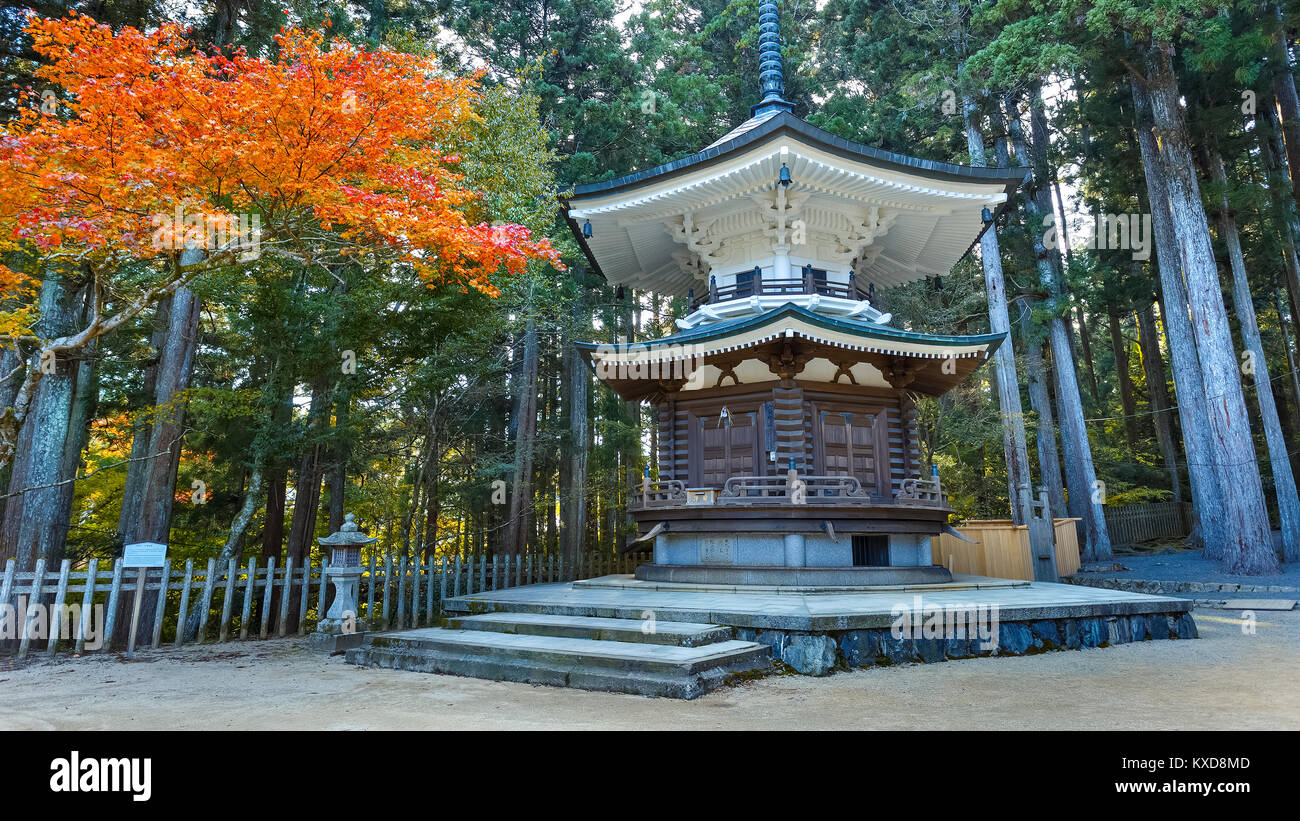 Rokkaku Kyozo (Hexagonal Sutra Repository) at Danjo Garan Temple in ...