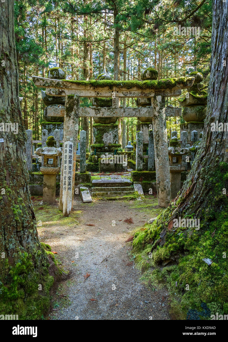 Mt koya cemetery hi-res stock photography and images - Alamy