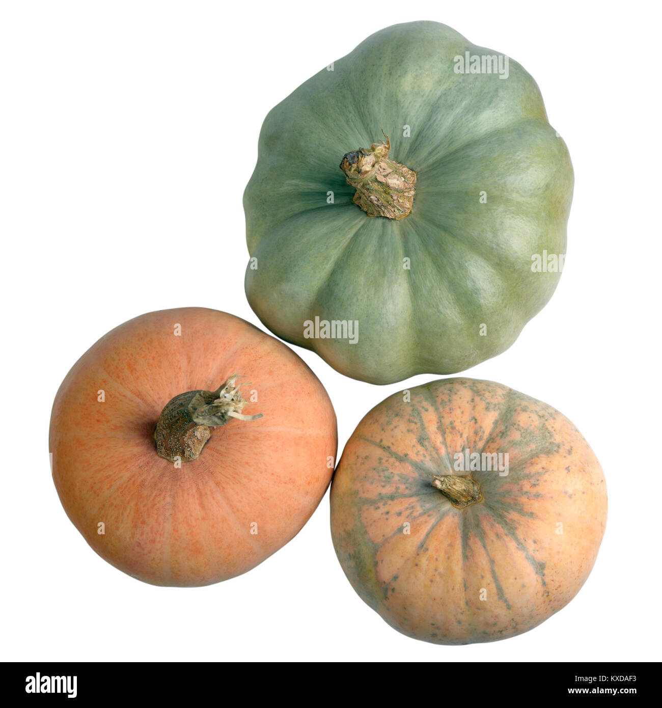 Three pumpkins isolated on hi-res stock photography and images - Alamy