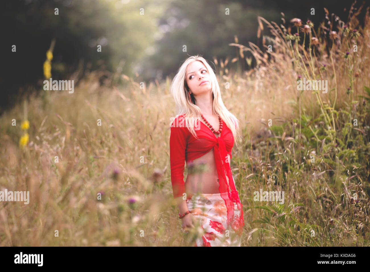 Girl Field Light Blonde High Resolution Stock Photography and Images ...