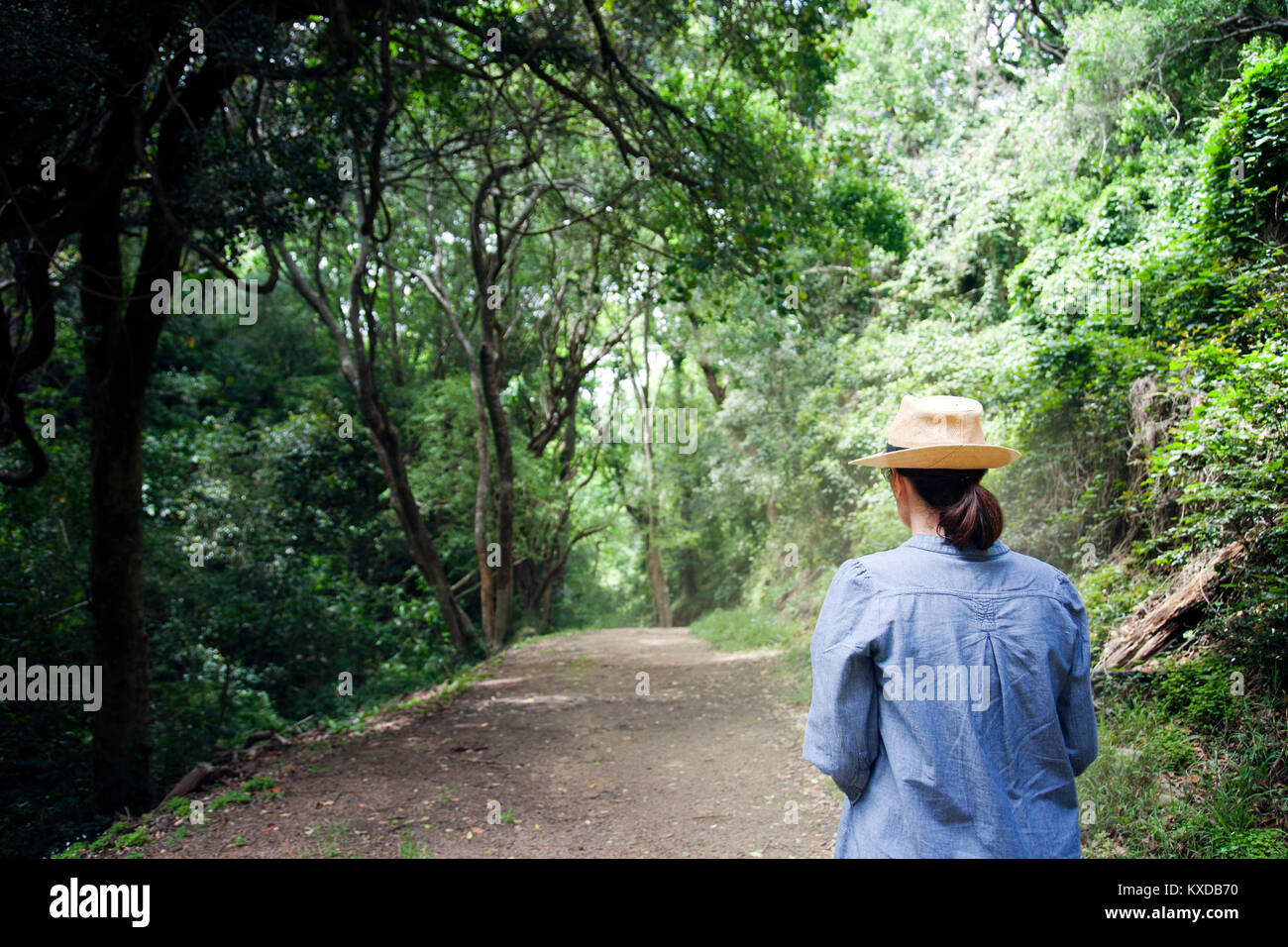 40 50 years woman hi-res stock photography and images - Alamy