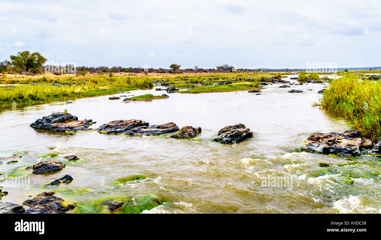 The Sabie River in Kruger National Park in South Africa Stock Photo - Alamy
