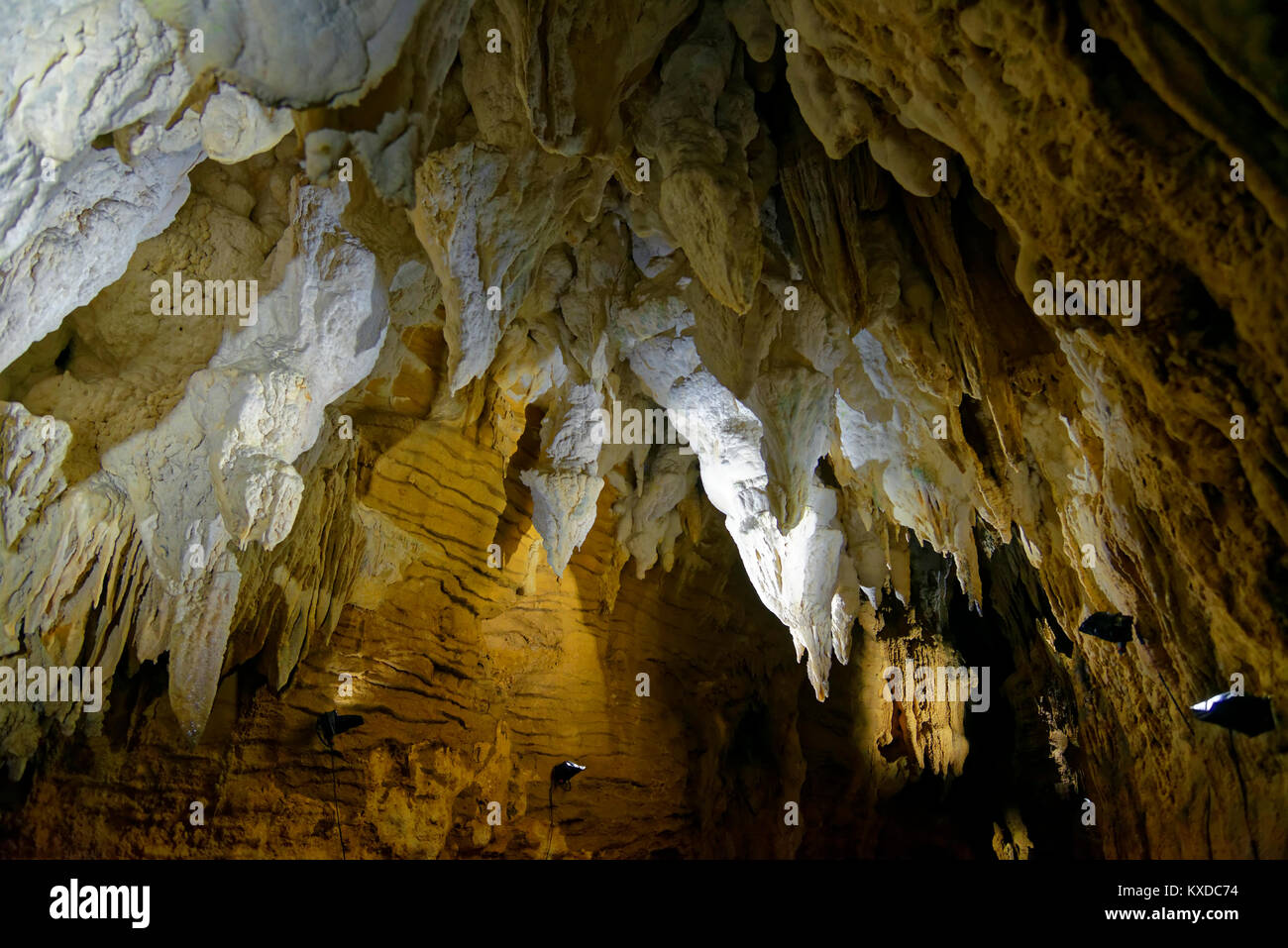 Ceiling hanging stalactites in the dripstone cave Aranui Cave,Waitomo ...