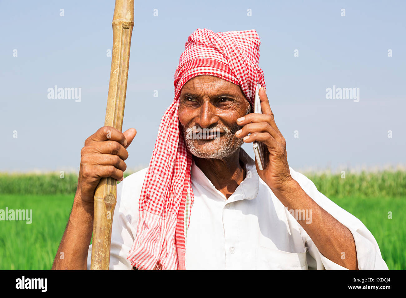 Senior man talking cell phone hi-res stock photography and images - Alamy