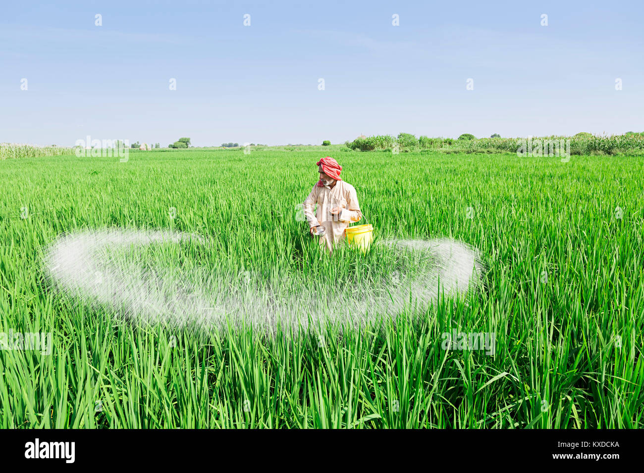 Man carrying bucket farm hi-res stock photography and images - Alamy