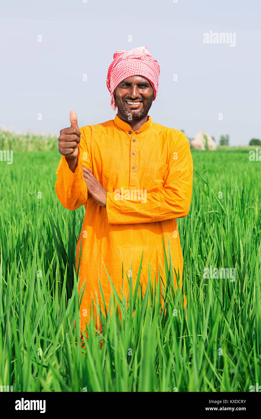 1 Indian Rural Farmer Man Standing Farm Showing Thumbs up Successful ...