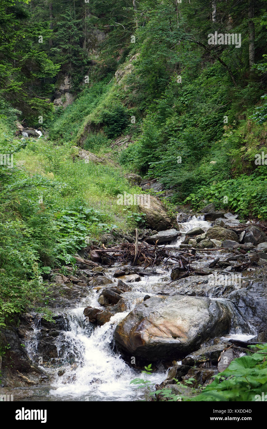 Narrow river in the gorge in Austria Stock Photo - Alamy