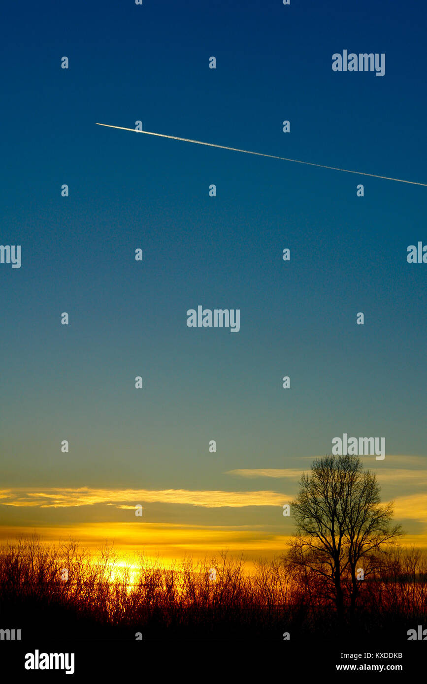 Beautiful summer sunset Stock Photo - Alamy