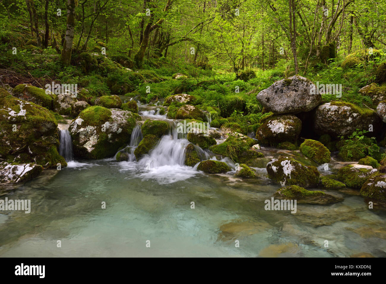 A small mountain stream flows into the river Lepena,Lepenatal,Slovenia ...