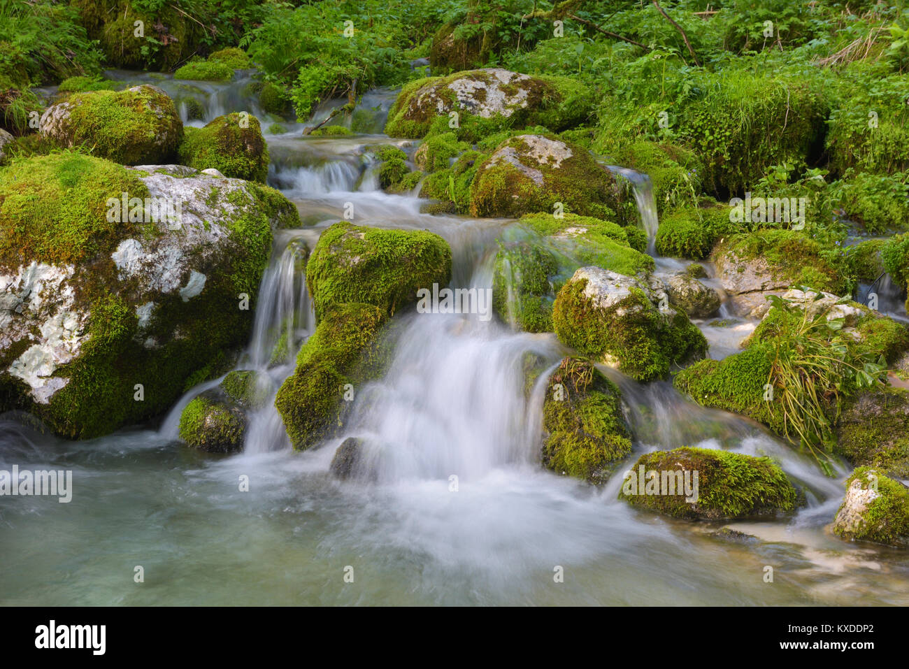 Small river flows hi-res stock photography and images - Alamy