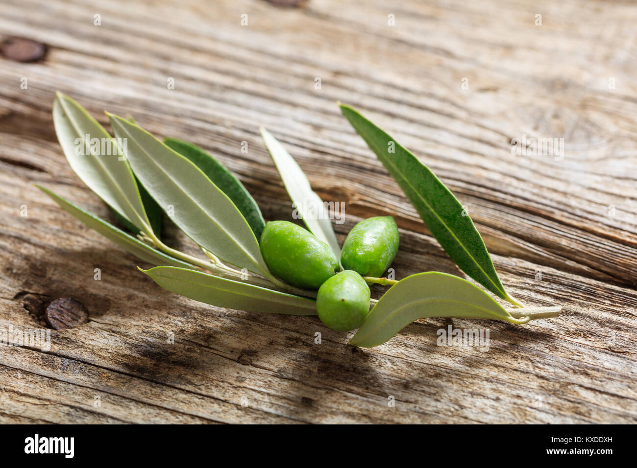 Olive green surface hi-res stock photography and images - Alamy