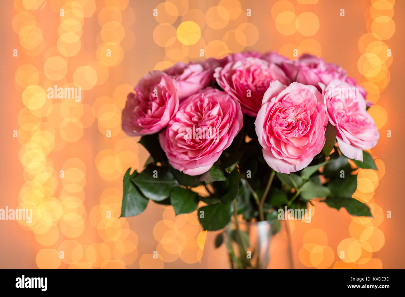 Pink rose. Vase with beautiful bouquet on table. Copy space. lights on ...