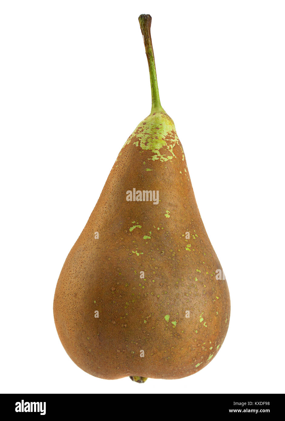 Long pear fruit closeup isolated on white background Stock Photo - Alamy