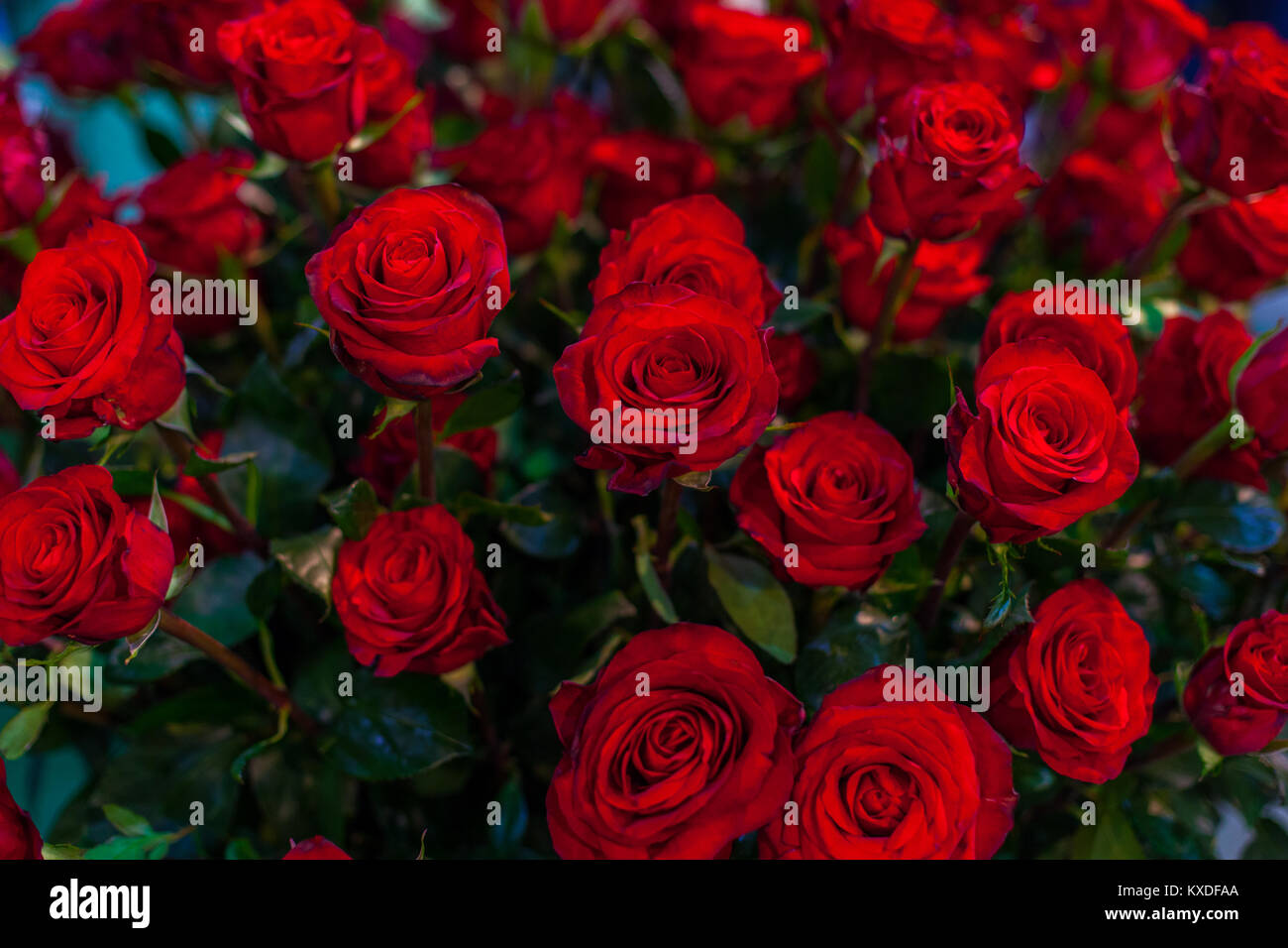 Big bouquet hi-res stock photography and images - Alamy