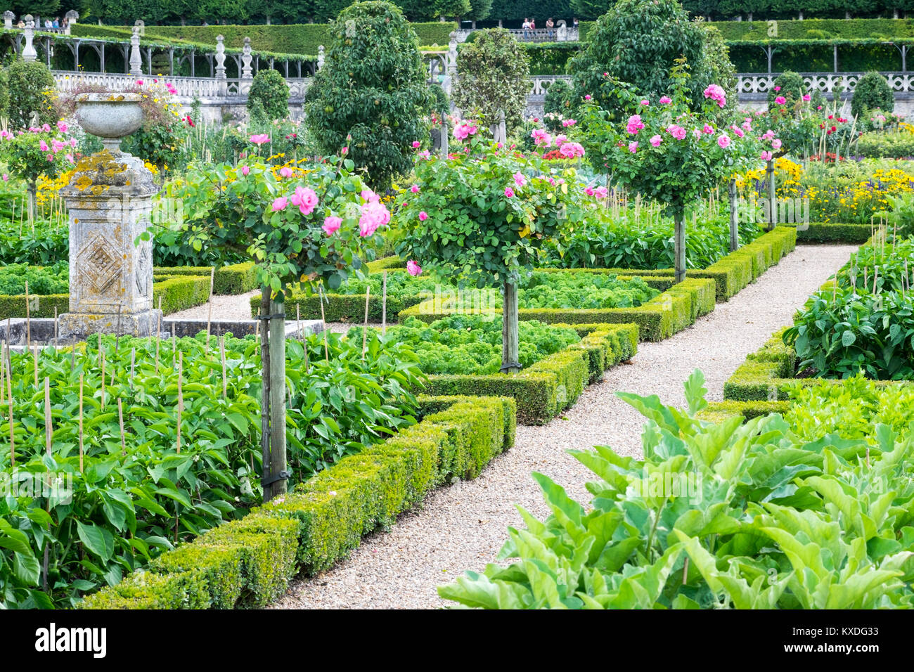 Chateau Villandry, Loire Valley, France, the famous vegetable knot ...