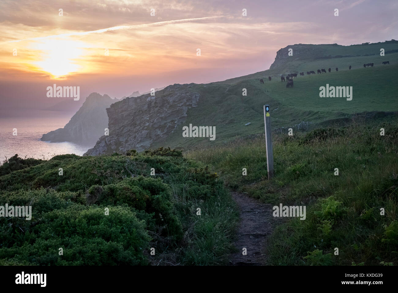 Dramatic sunset at Prawle Point, South Devon, National Trust headland ...