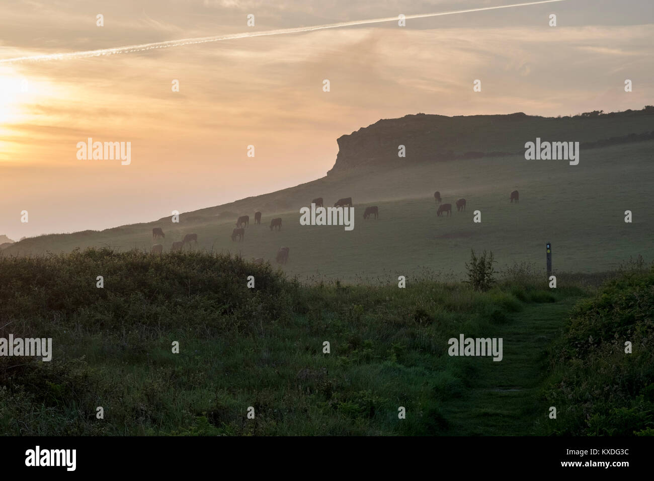 Dramatic sunset at Prawle Point, South Devon, National Trust headland ...