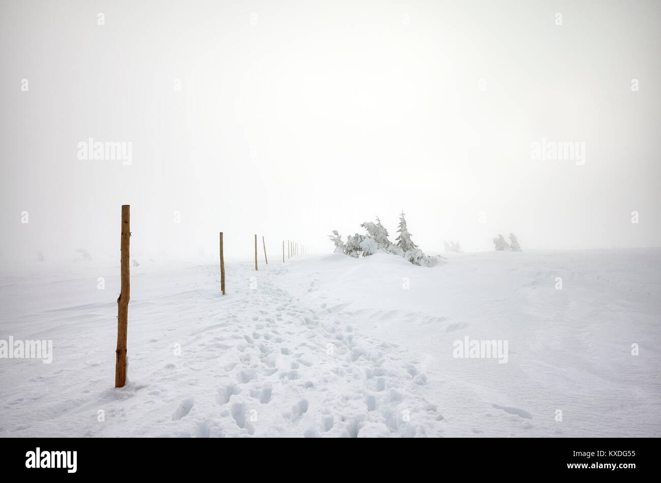 Blizzard snow hi-res stock photography and images - Alamy