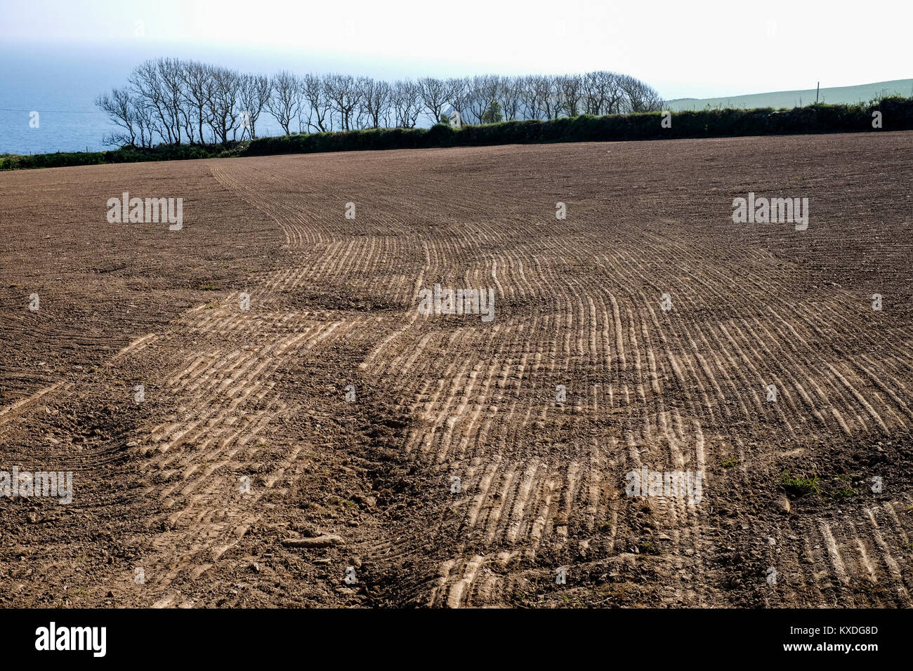 Ploughed field, ready for seeding, on farm in South Devon, UK Stock ...