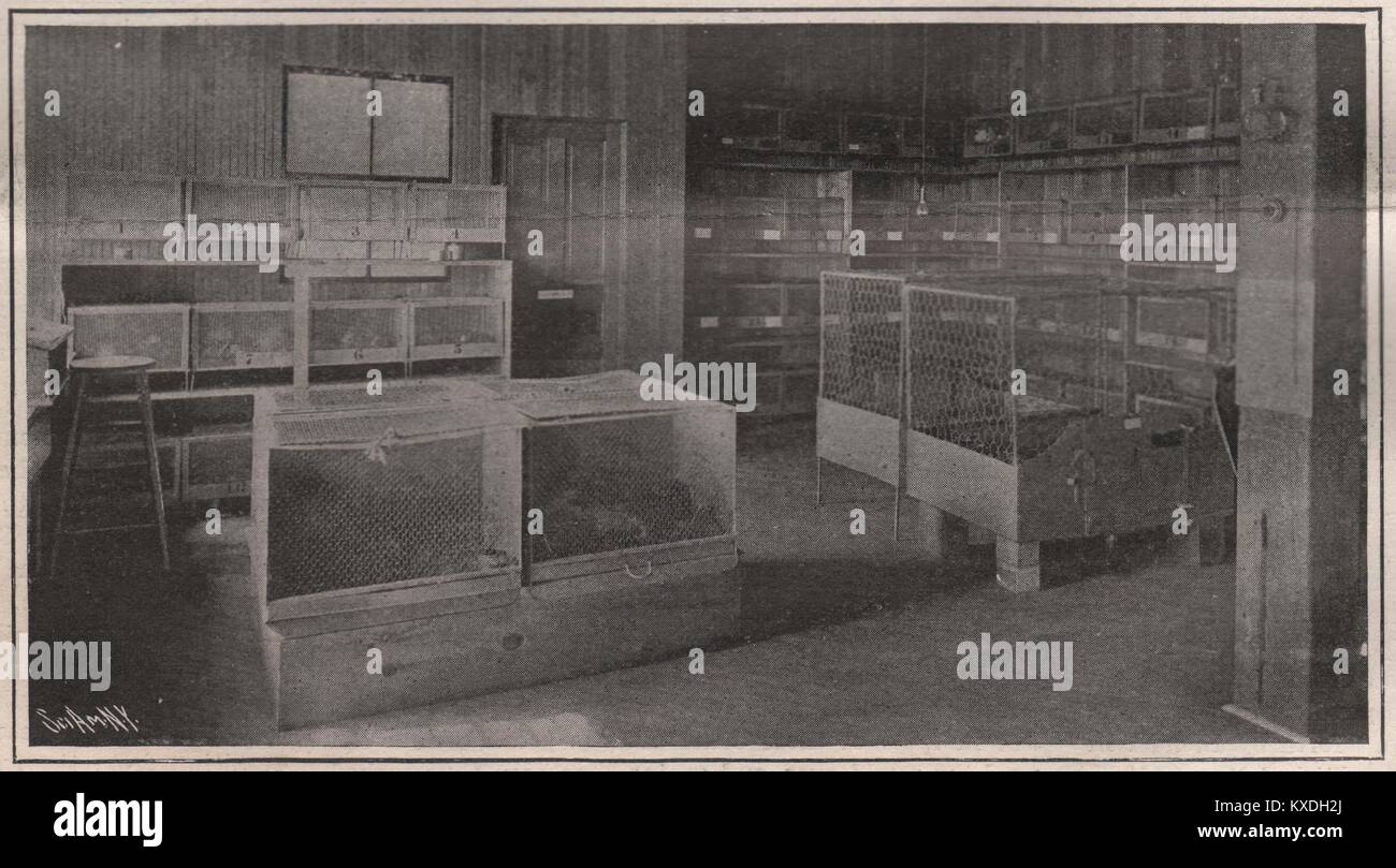 Room in the Laboratory in which Animals are kept while being used for ...