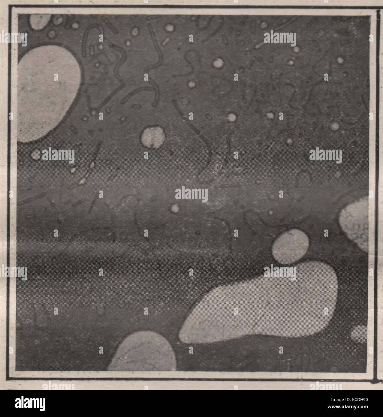 Long Crystals Squirming like Serpents Stock Photo - Alamy