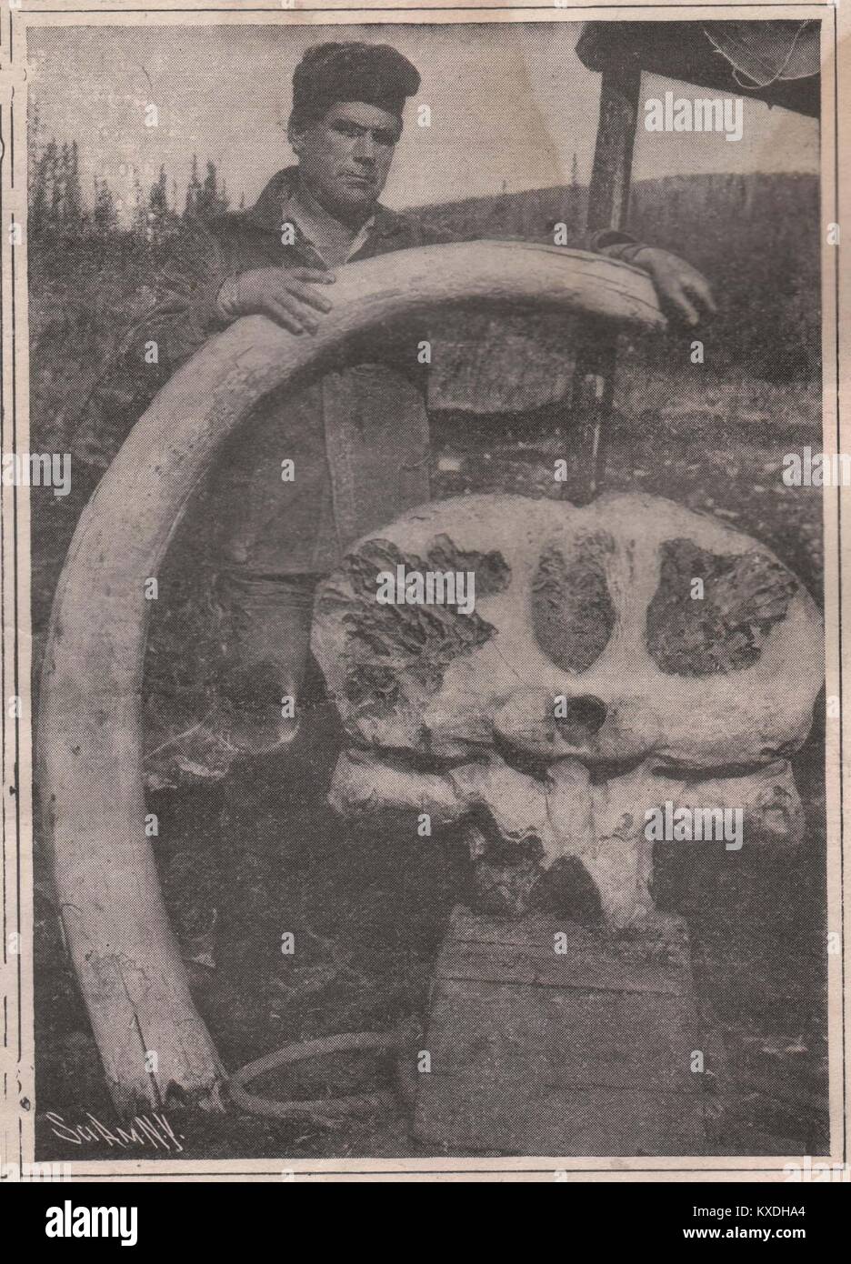 Mastodon hi-res stock photography and images - Alamy