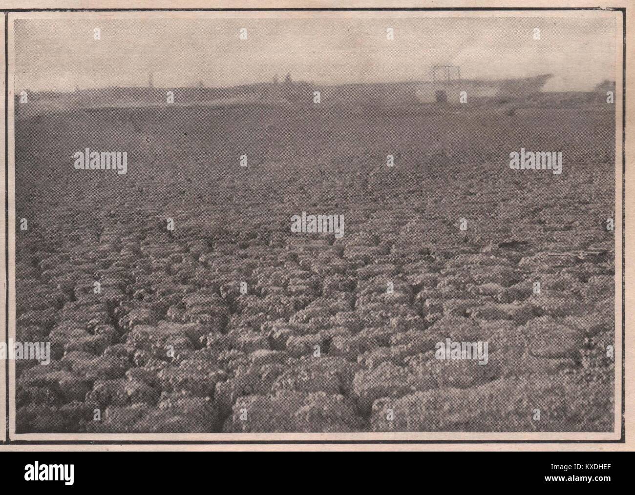Curious Appearance of the Silt Left by the Flood and Subsequently Dried ...